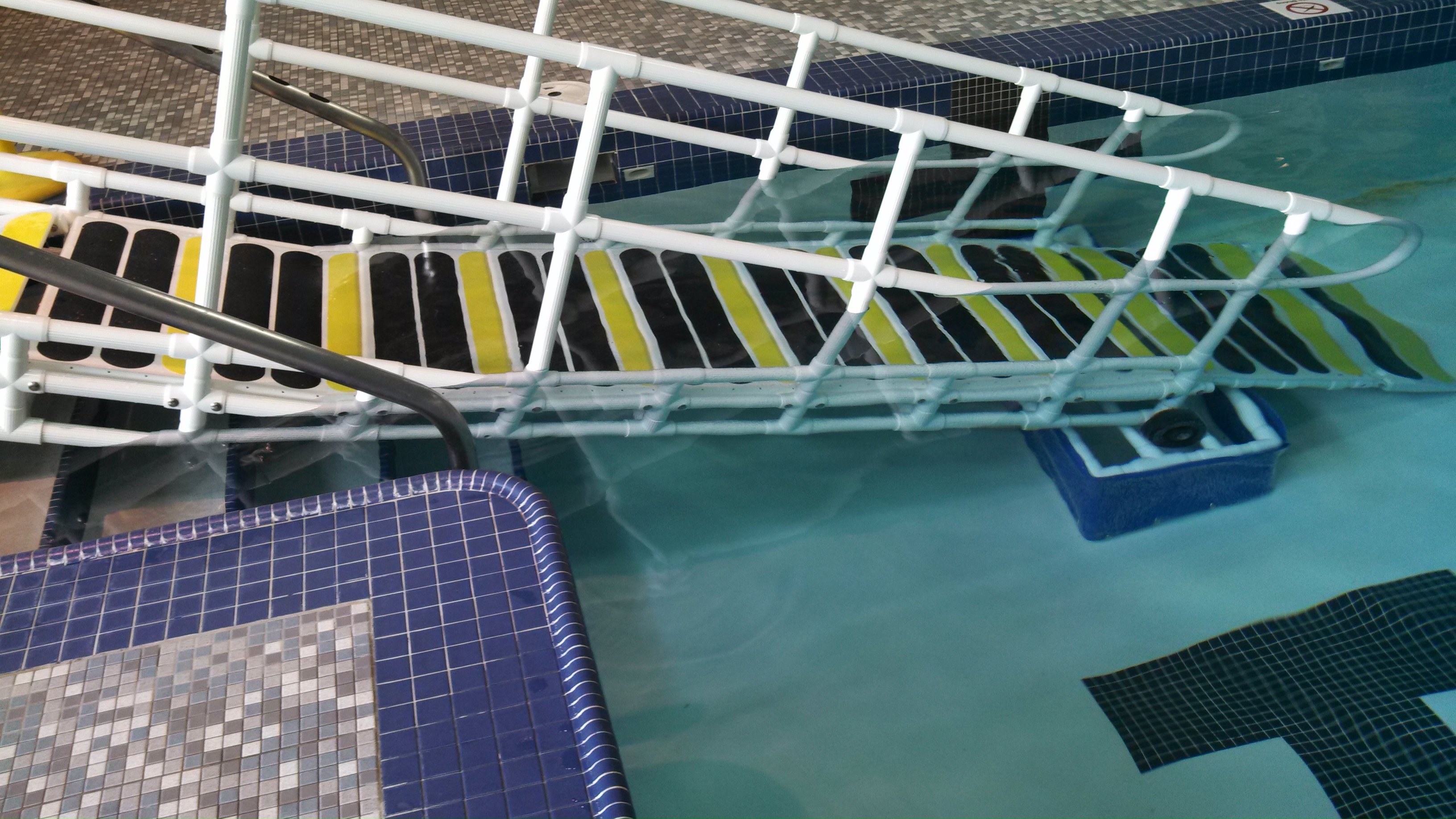 Aquatrek Pool Ramp